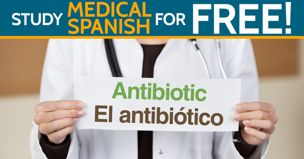 Free Medical Spanish Terminology Monthly Downloads free-medical-spanish-terminology-monthly-downloads