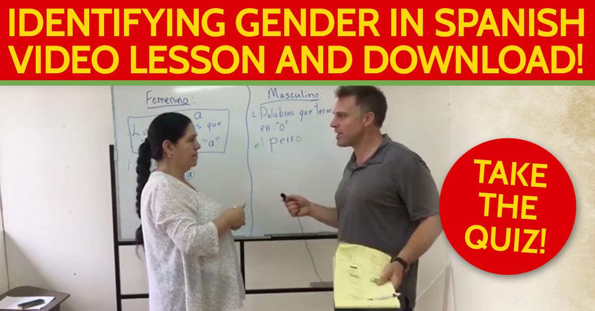 Easy Strategy For Identifying Gender el Or La In Spanish