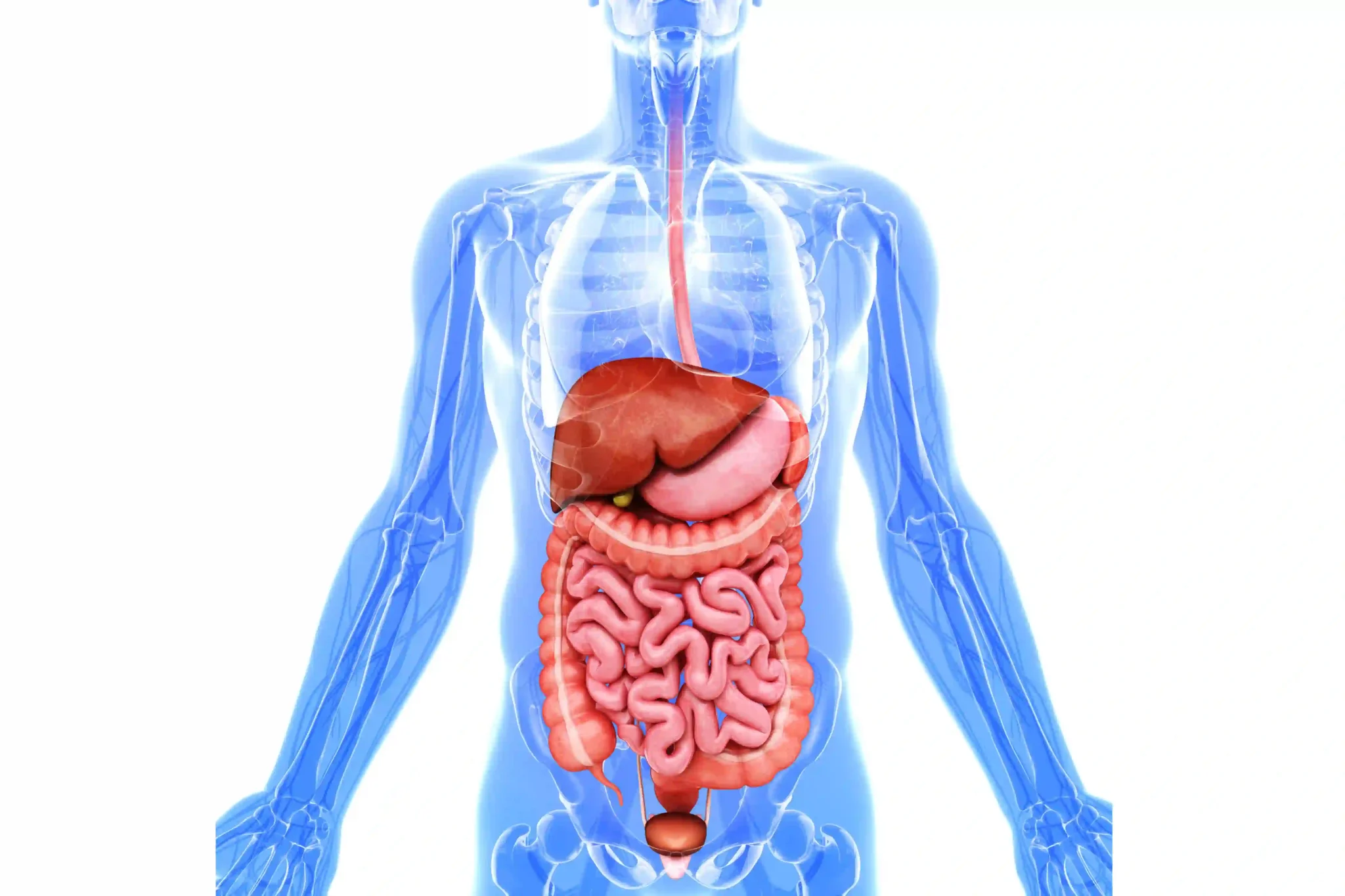Essential Verbs to Describe Body Parts and Their Functions in Spanish ...